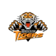 Herrin Tigers Logo