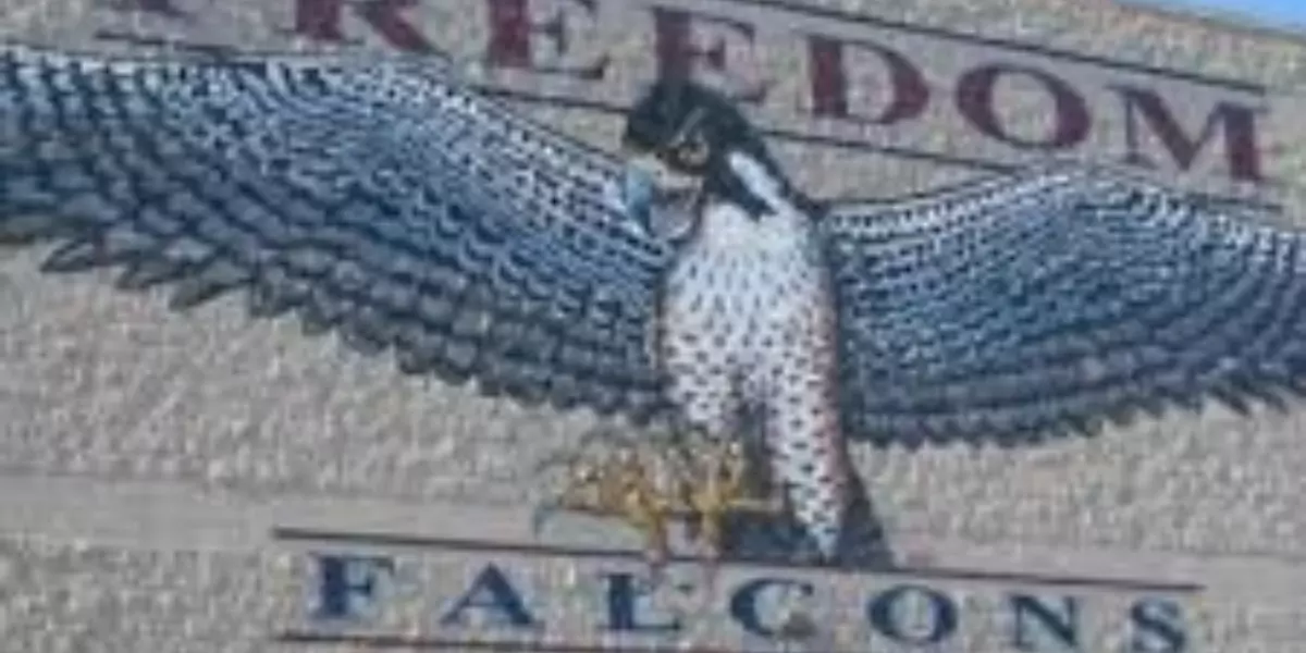 Freedom Falcons Oakley Football