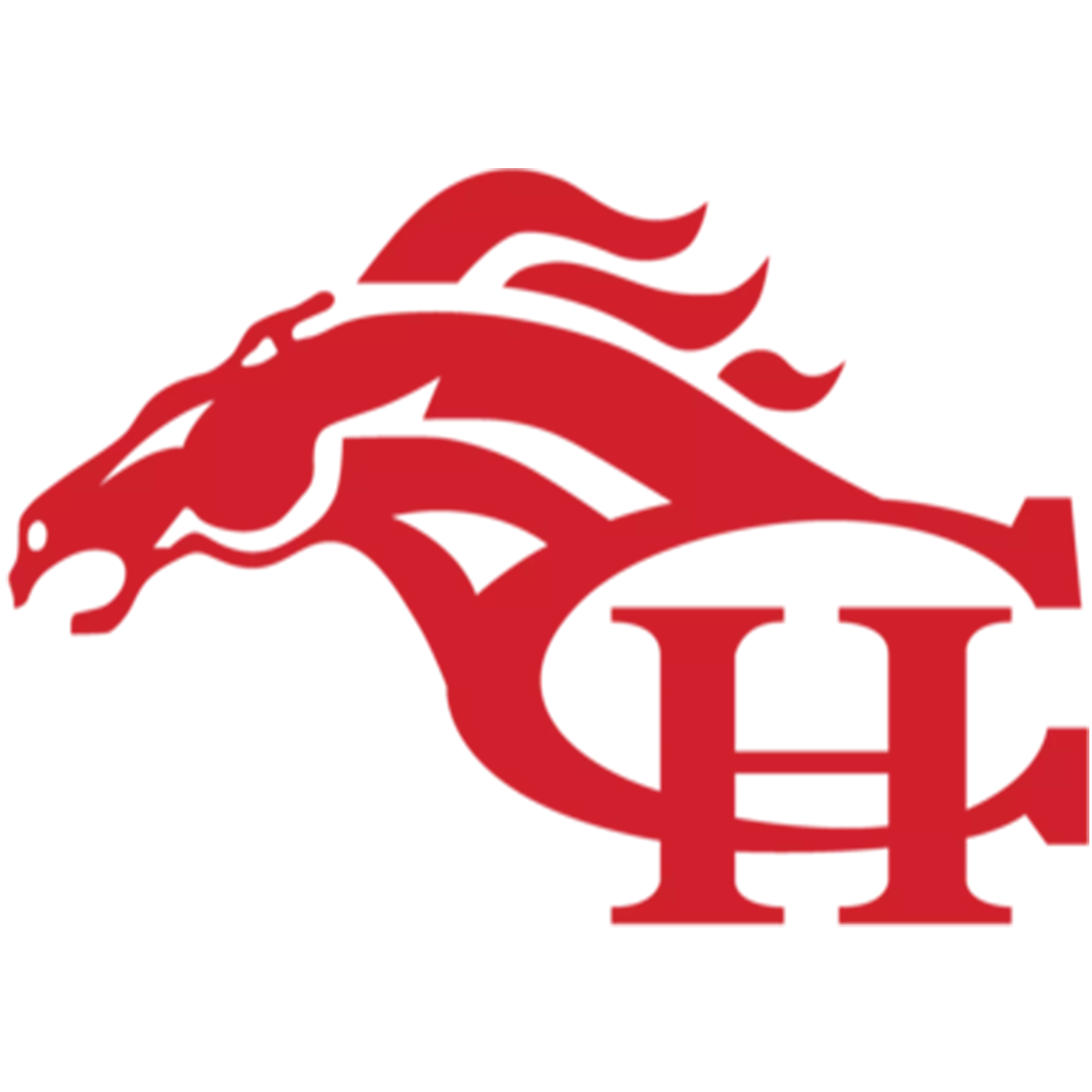 Center Hill Junior Varsity Football Roster - MHSAA