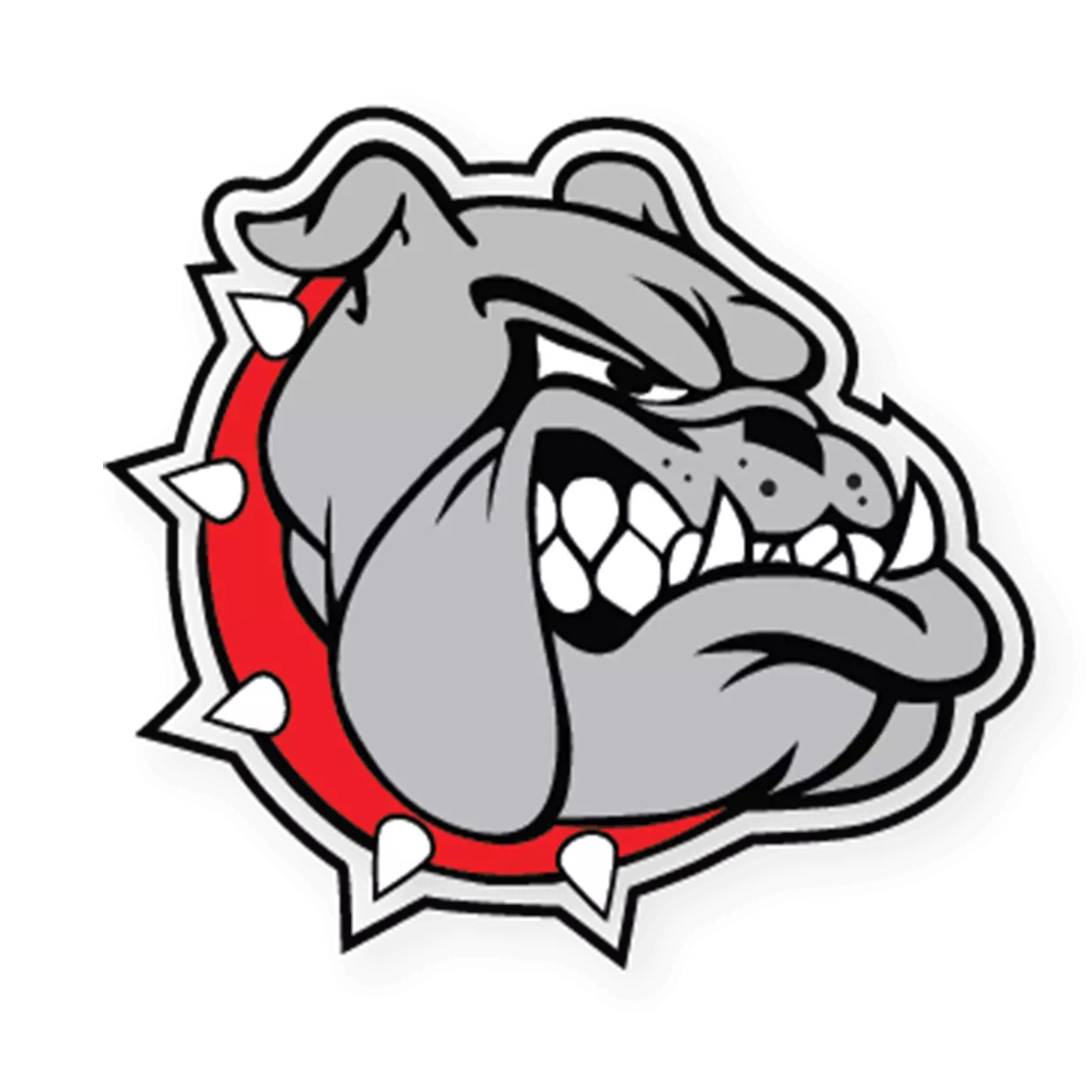 Brandon Varsity Football Schedule - MHSAA