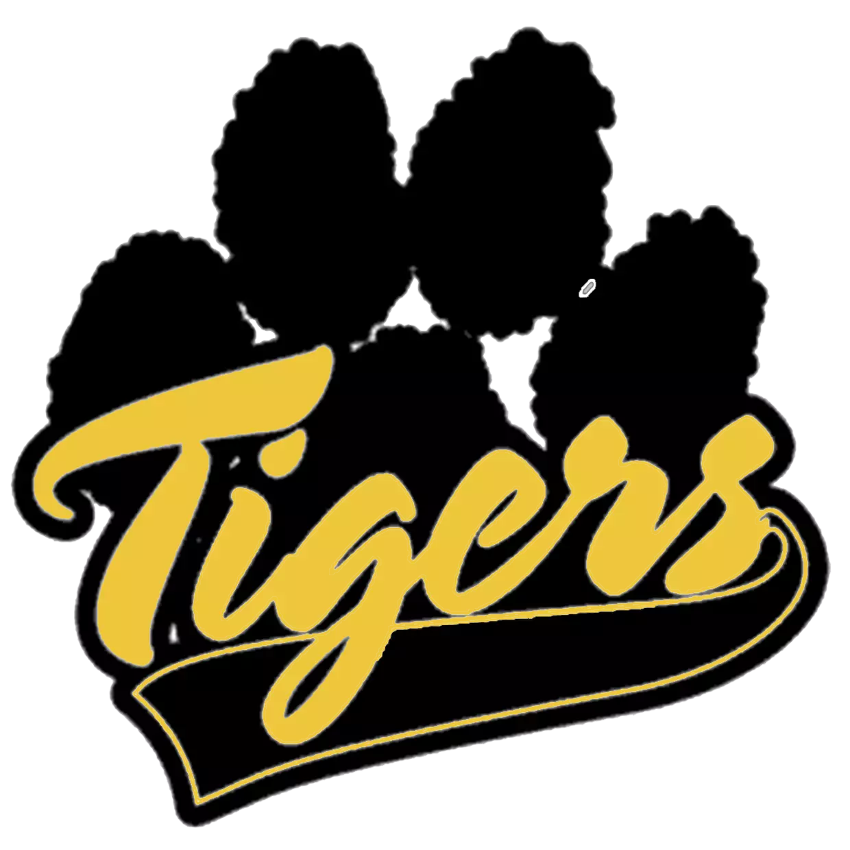 Ripley Junior Varsity Boys Soccer Roster - MHSAA