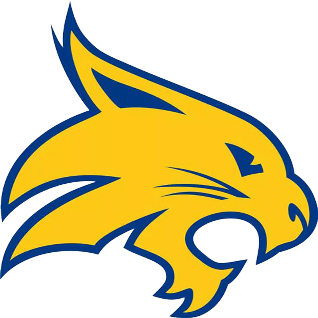 Sumrall Varsity Football Schedule - MHSAA