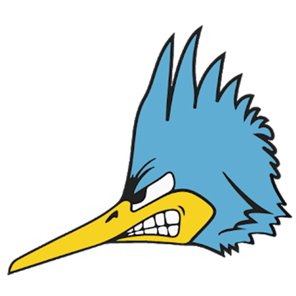 Phoenix Day School for the Deaf Roadrunners Girls Basketball (Phoenix ...
