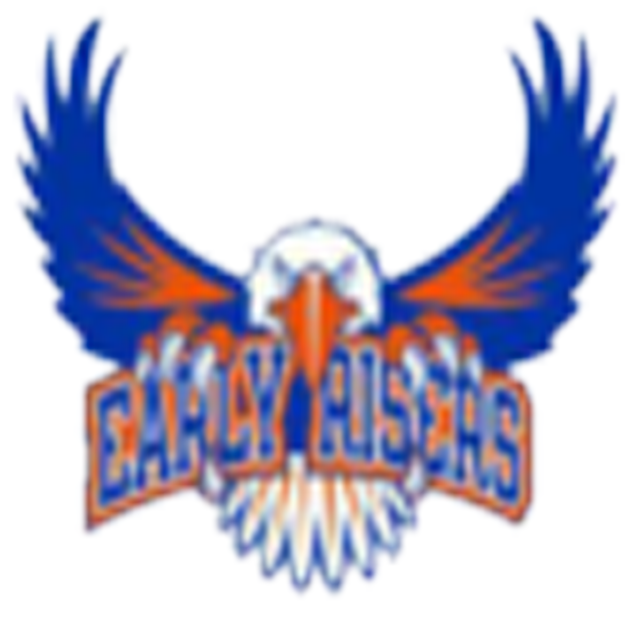 Early Risers Eagles Boys Basketball (Monroe , NY) - High School On SI