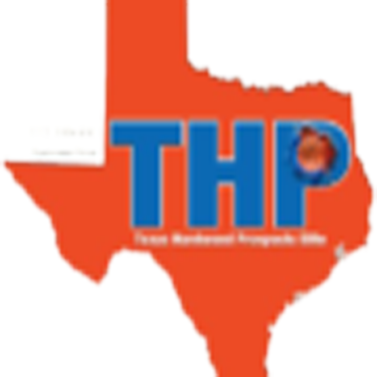 THP Elite 17U Boys Basketball (Austin , TX) - High School On SI
